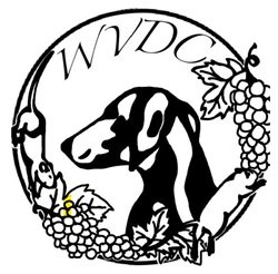 WVDC AKC FAST CAT (Winlock, WA) - Oct 11, 2025 - Oct 12, 2025 — ASFA ...