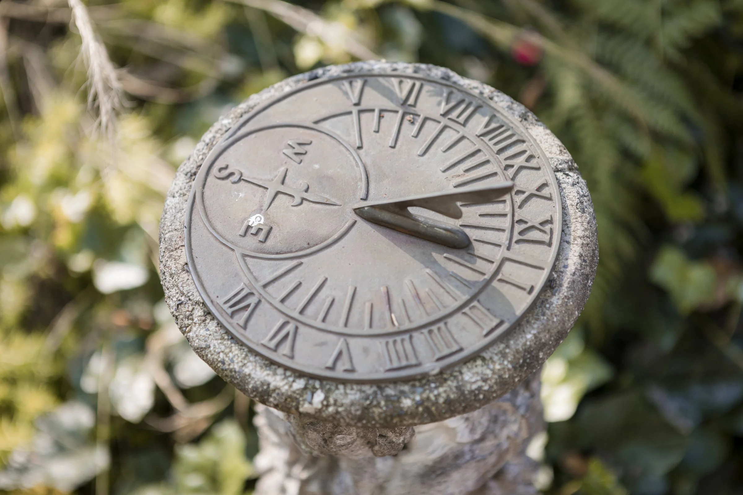 Maroni Meadows Snohomish Wedding Venue — Antonio Zaribi Wedding Photography