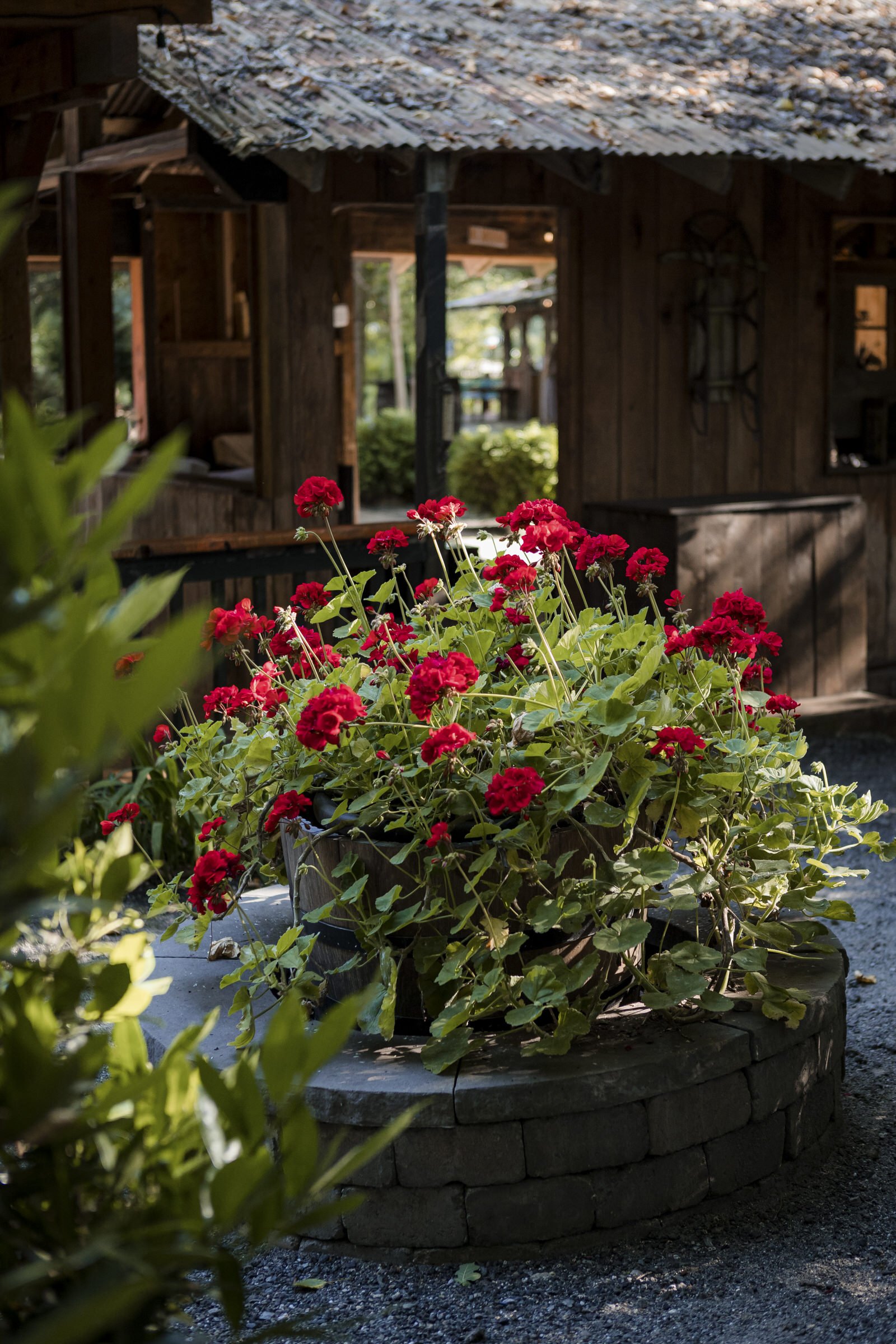 Maroni Meadows Snohomish Wedding Venue — Antonio Zaribi Wedding Photography