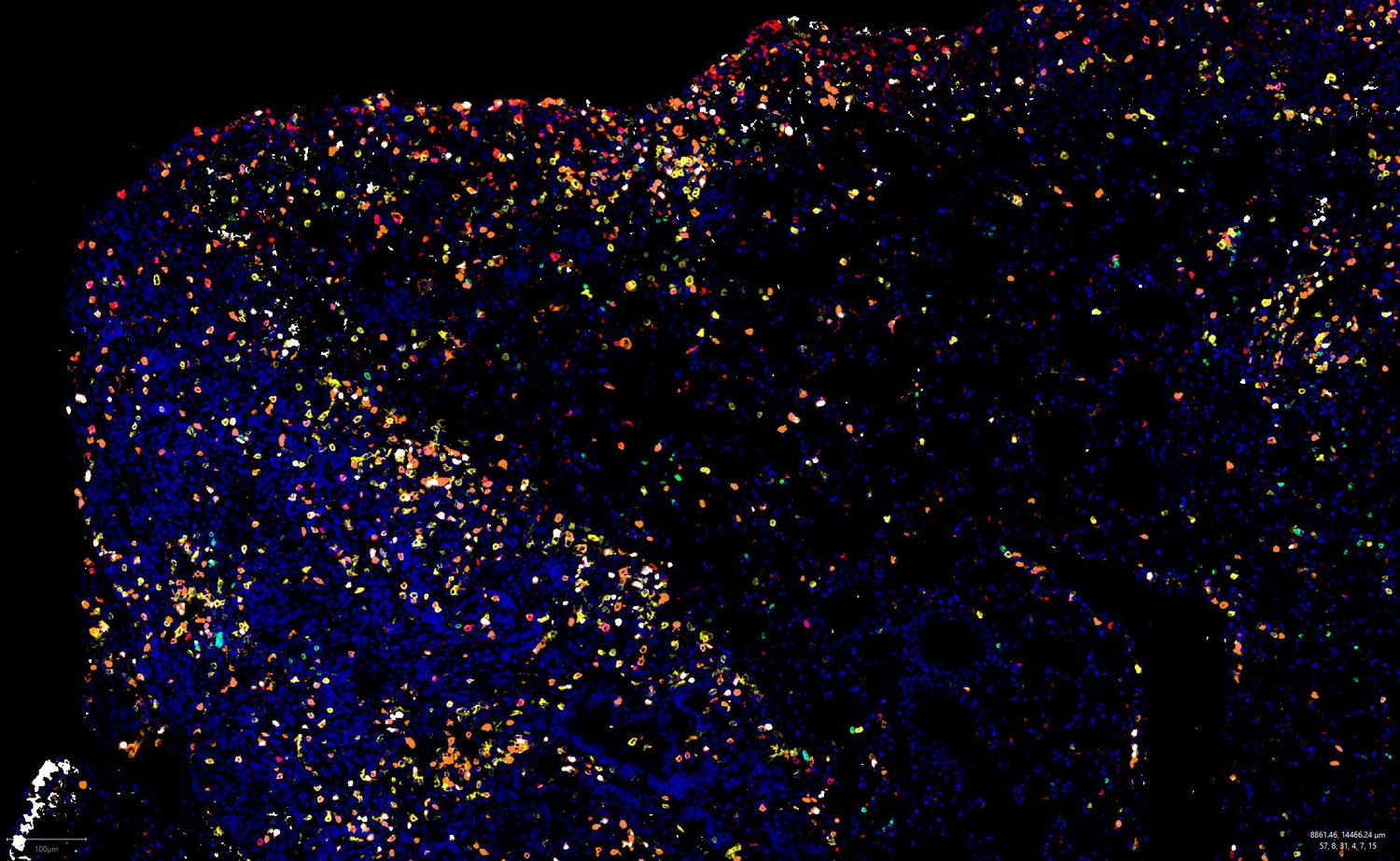 Publications — Papagiannakopoulos (PapaG) Lab