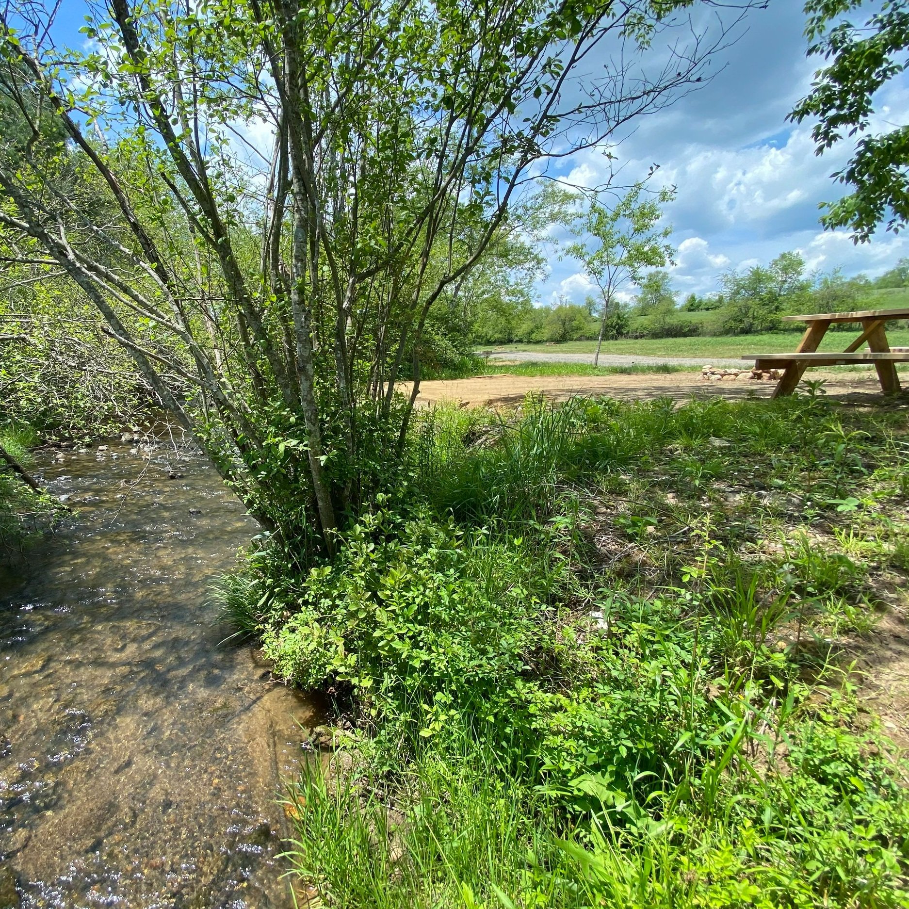 General 6 — Crooked Mountain