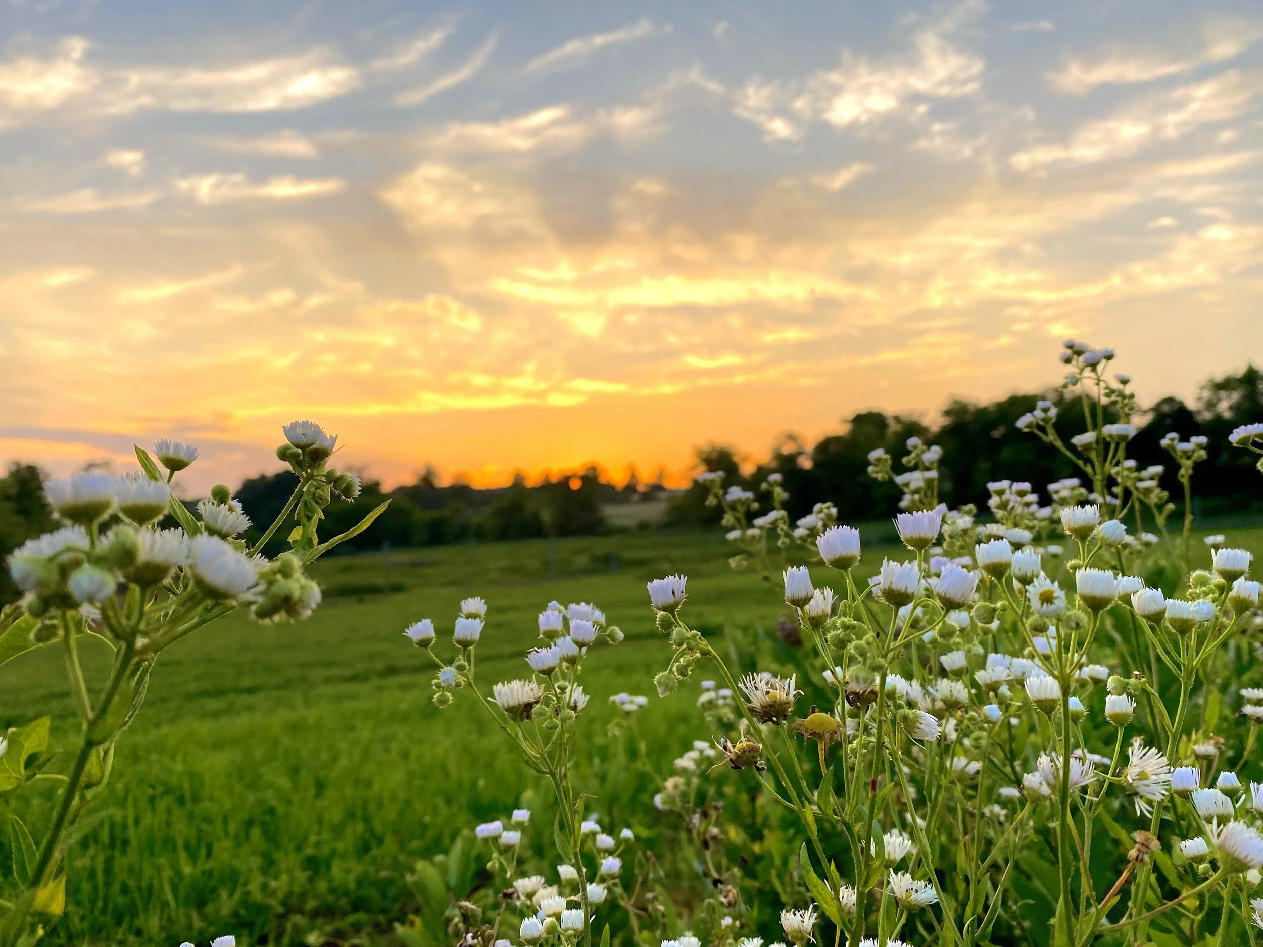 General 6 — Crooked Mountain