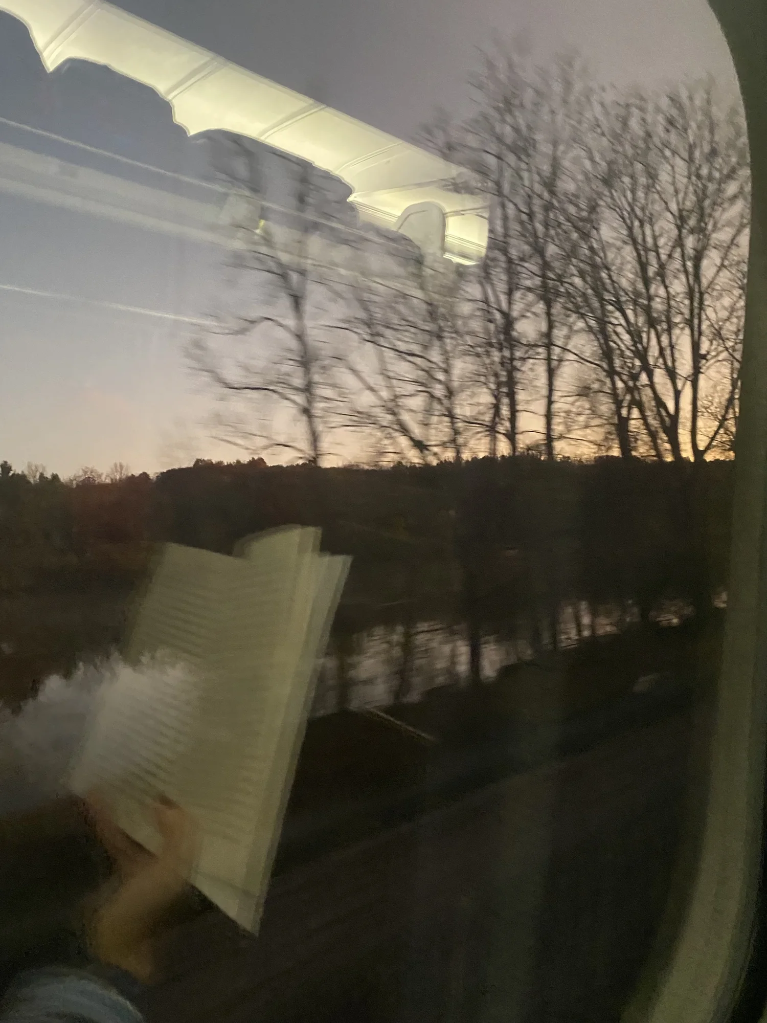 Lauren Robert's Library