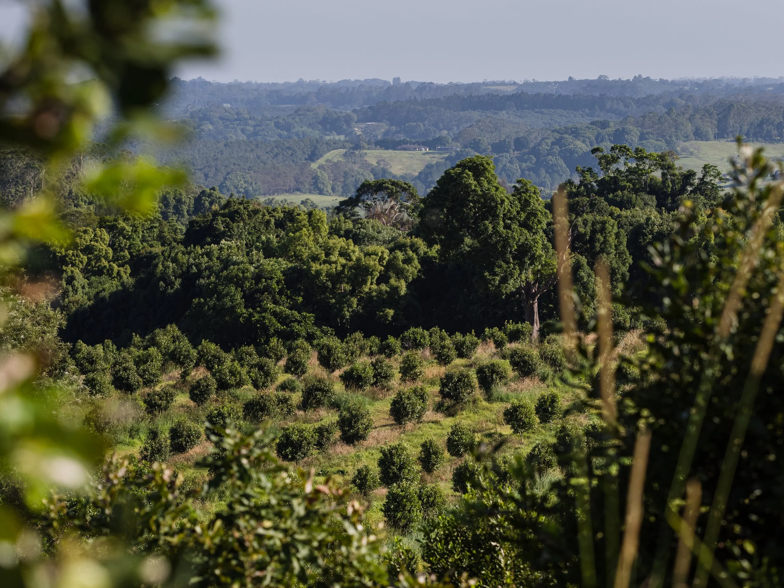 RURAL — SR Photography