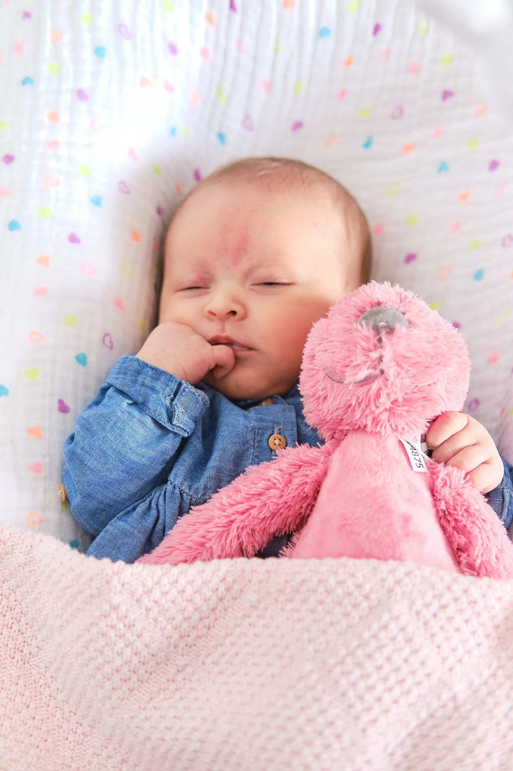 baby fotoshoot: leg de magie vast