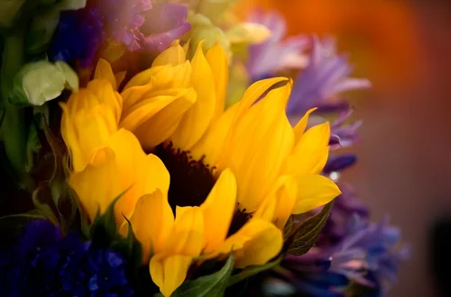 Photography by Amber Fite