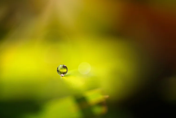 Photography by Amber Fite