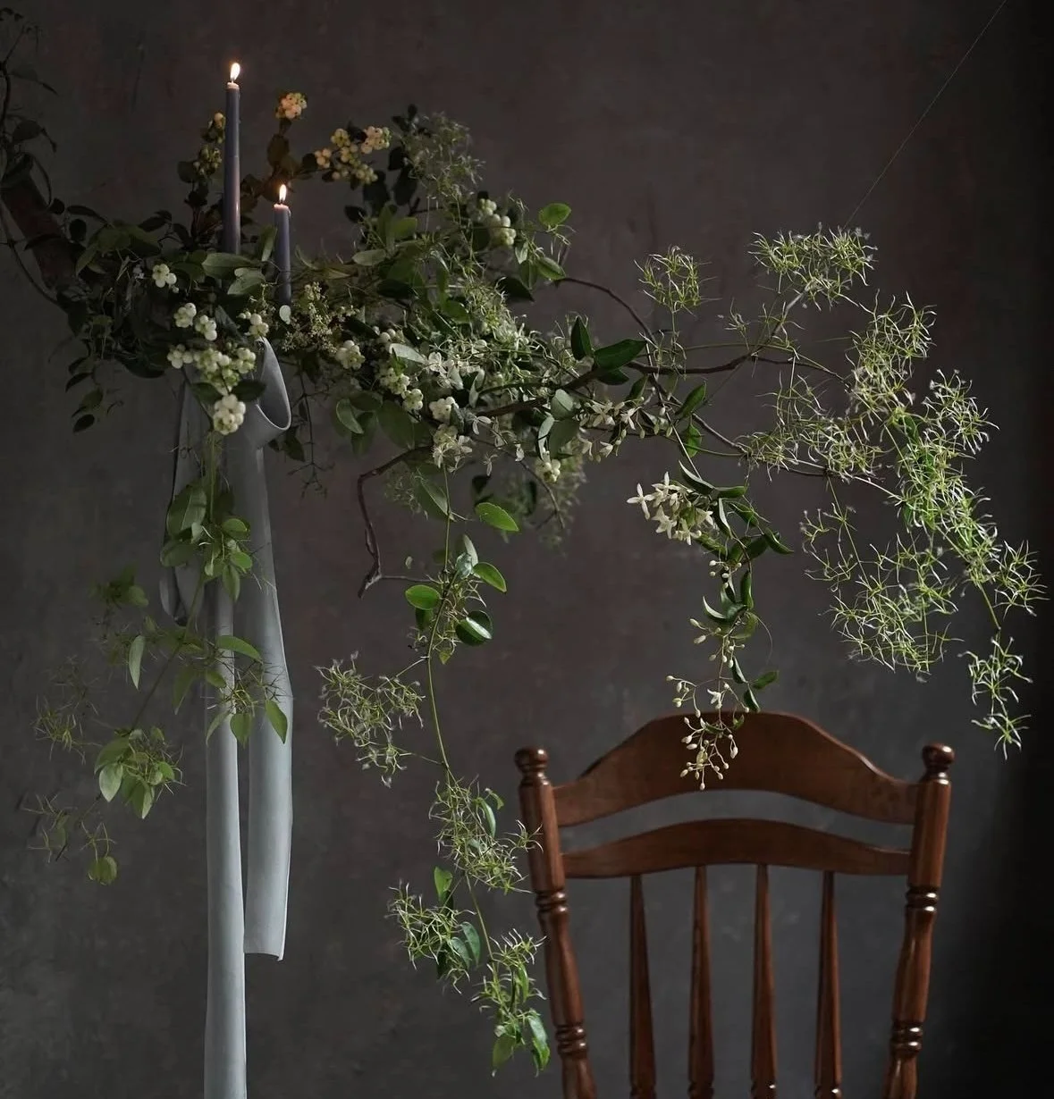 Art Installation — DAISYZOOM BOTANIC