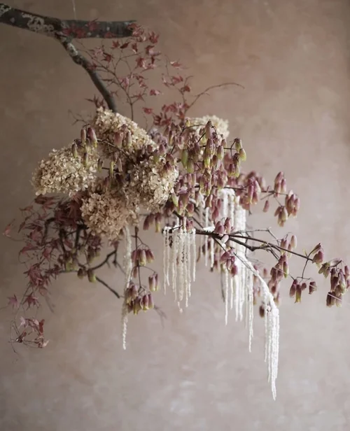 Art Installation — DAISYZOOM BOTANIC