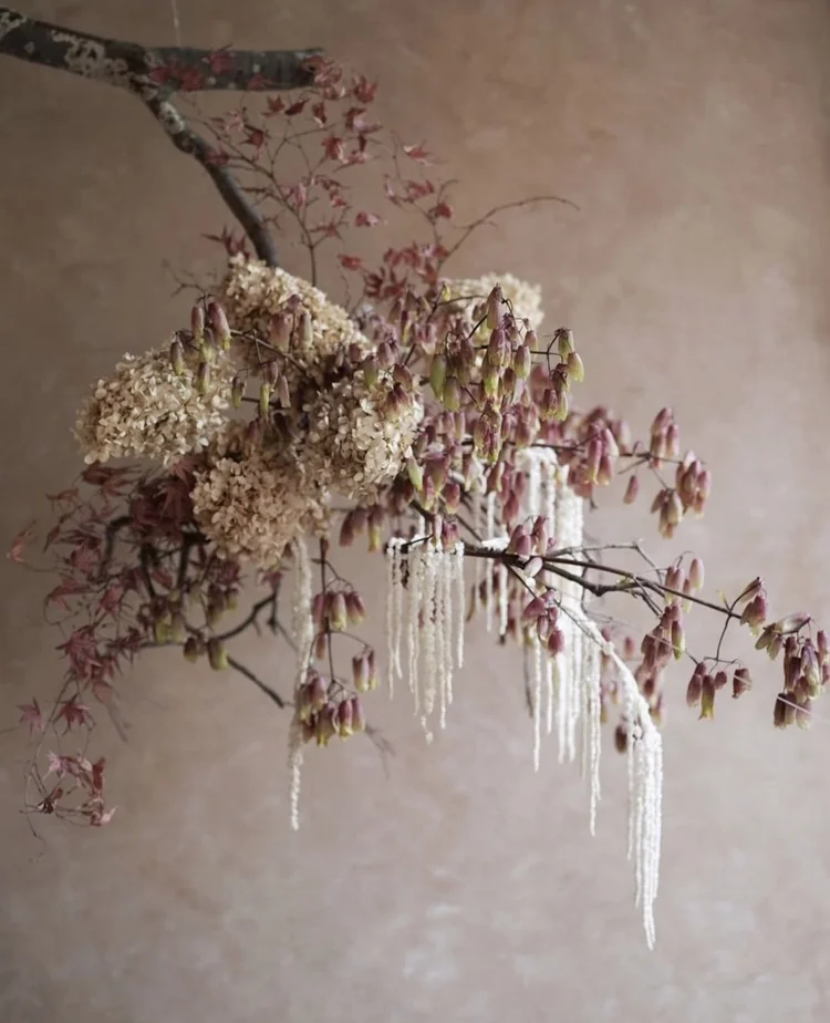 Art Installation — DAISYZOOM BOTANIC