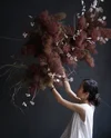 Art Installation — DAISYZOOM BOTANIC