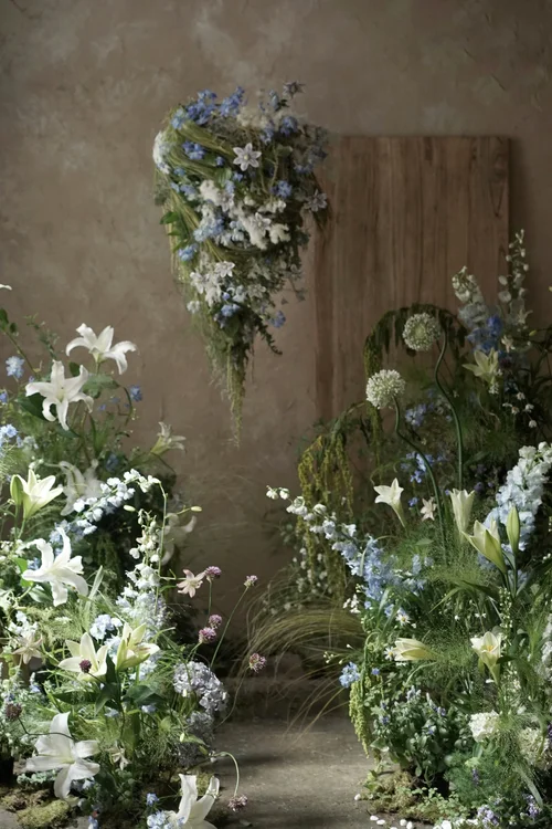 Art Installation — DAISYZOOM BOTANIC