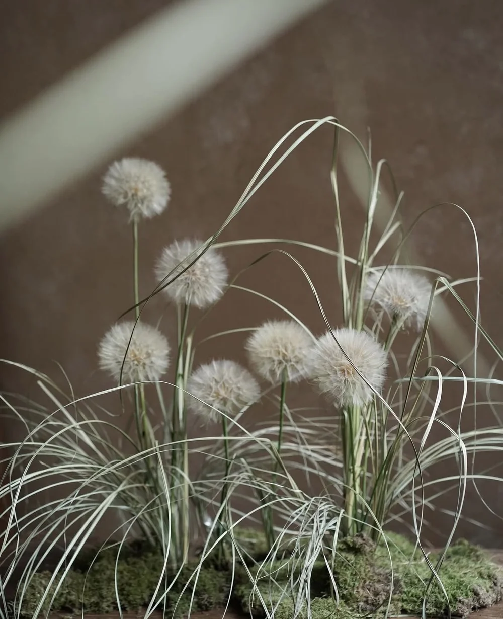 Art Installation — DAISYZOOM BOTANIC