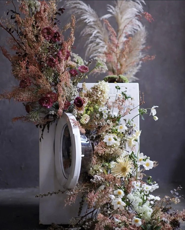 Art Installation — DAISYZOOM BOTANIC