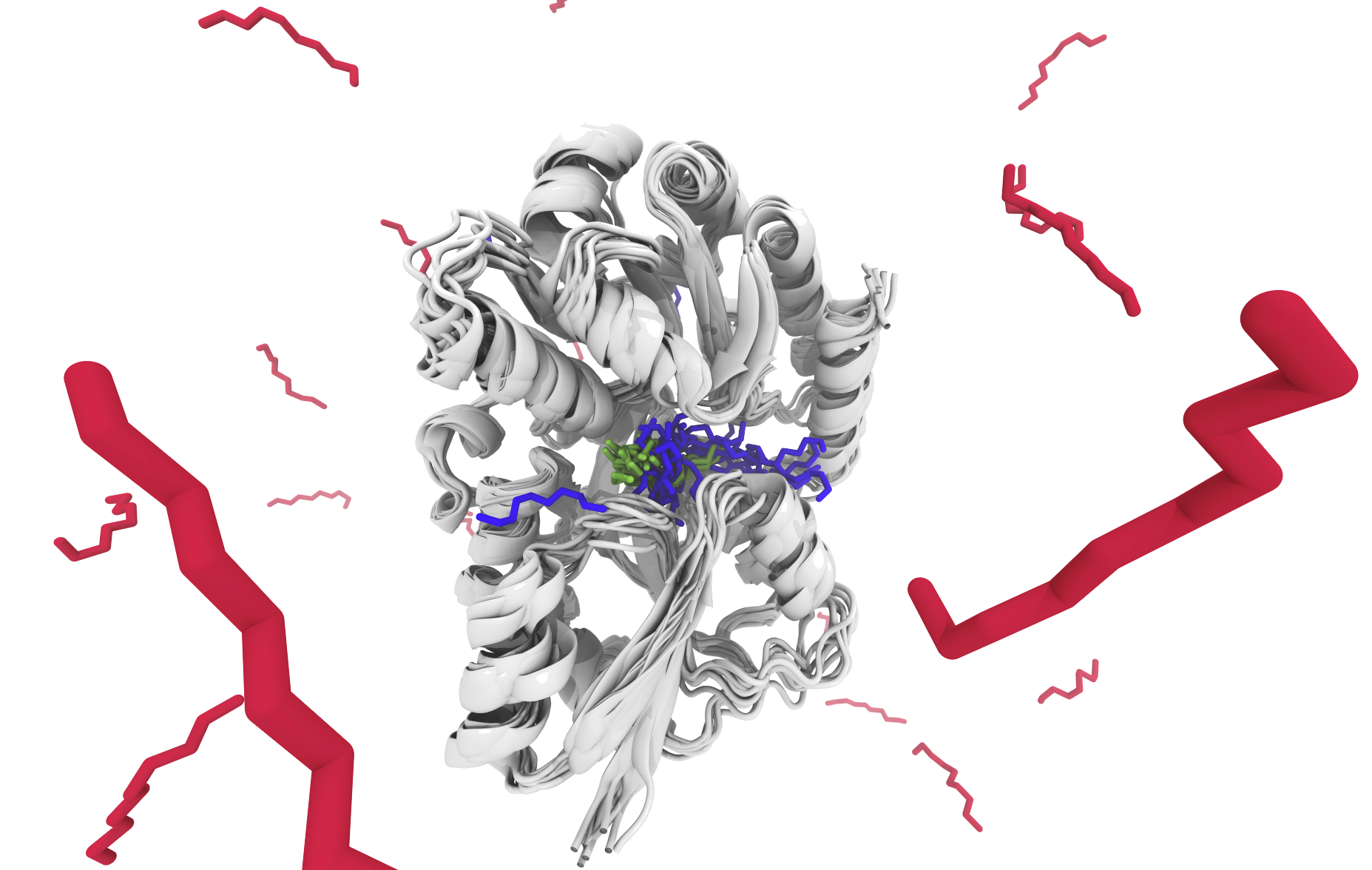 Photos — Artificial Intelligence for Protein Design - Noelia Ferruz lab