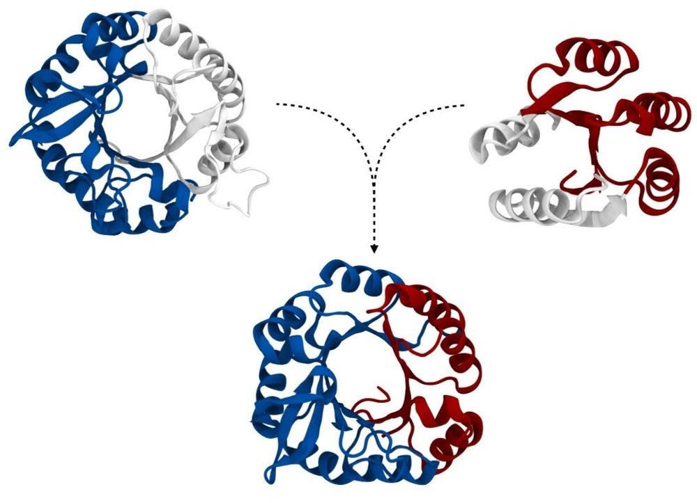 Projects — Artificial Intelligence for Protein Design - Noelia Ferruz lab
