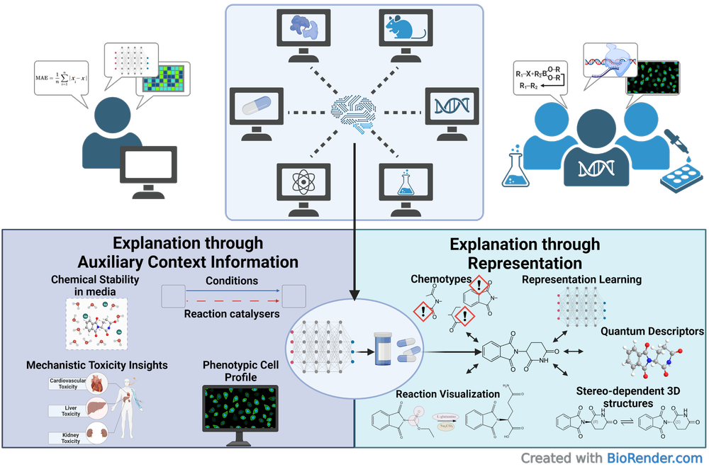 Positions — Artificial Intelligence for Protein Design - Noelia Ferruz lab