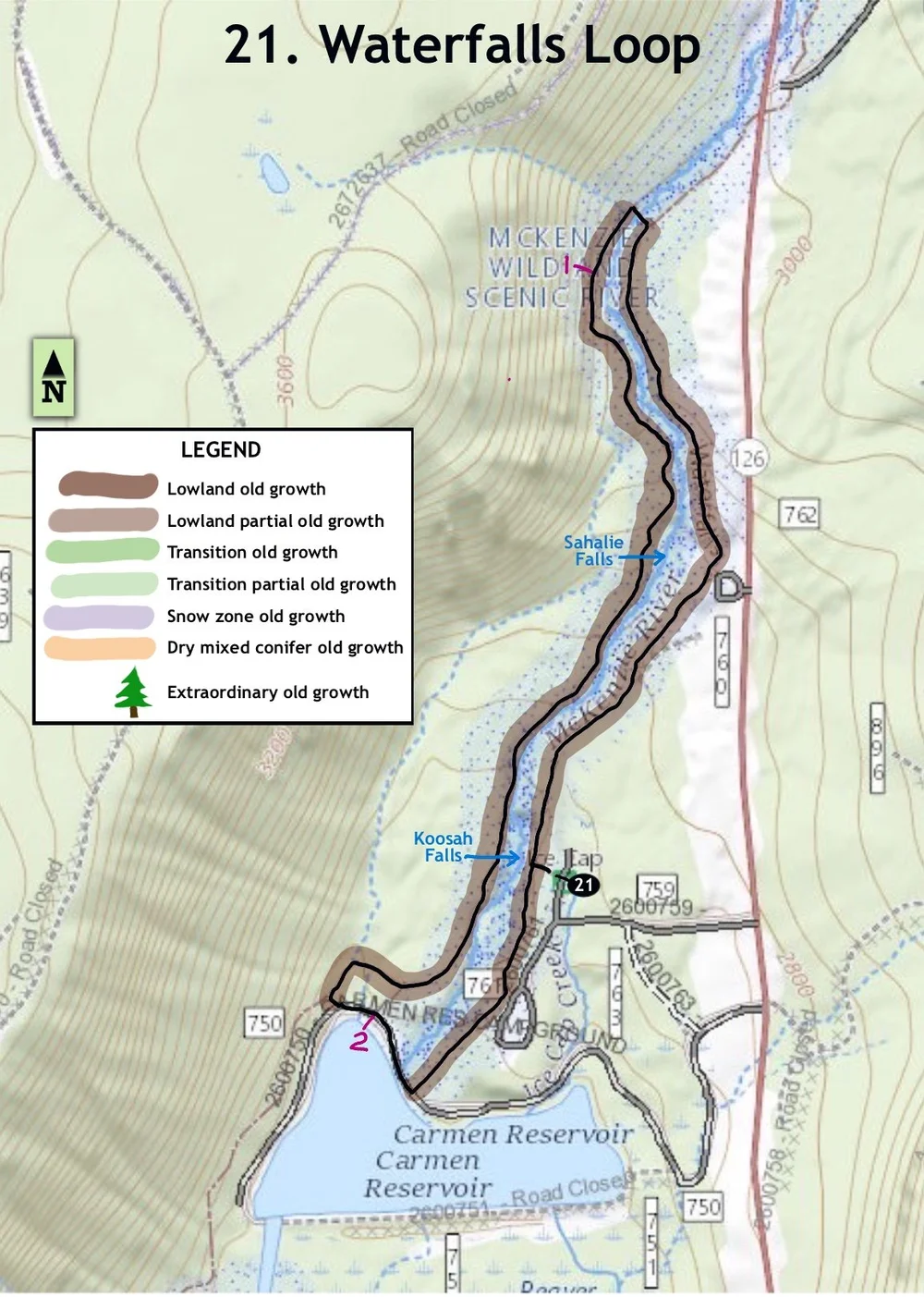 21. Waterfalls Loop — Old Growth Hikes