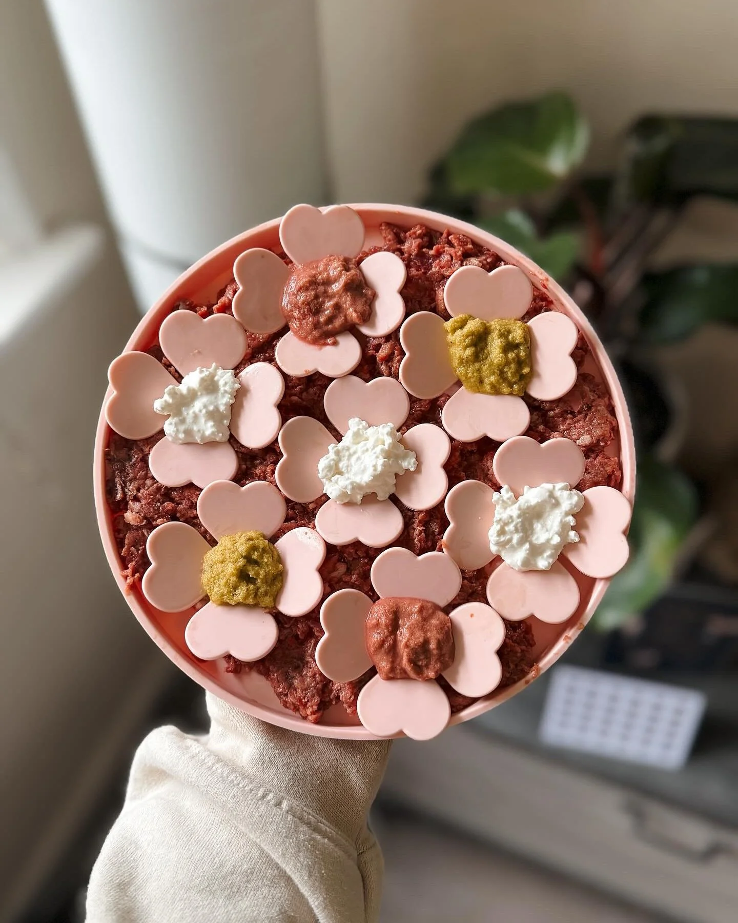 Where to Buy — Swell Gelato