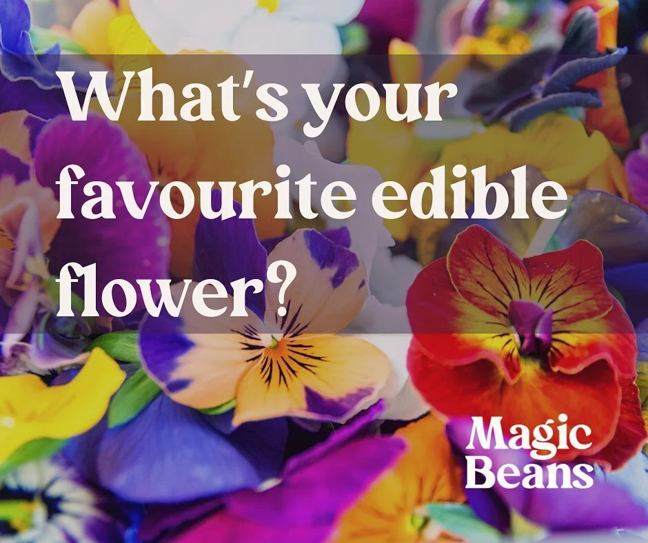 FAQs — Magic Beans App