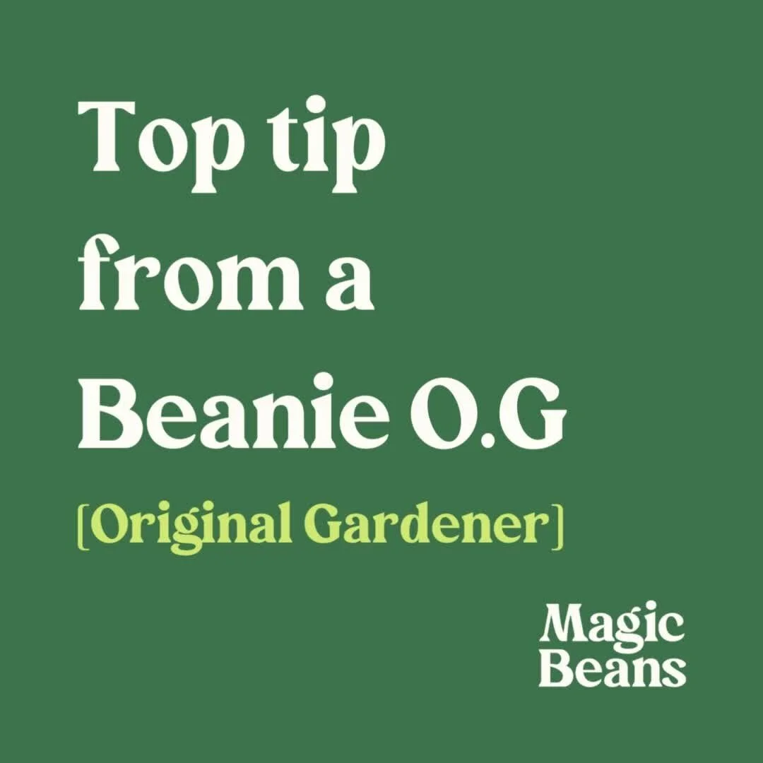 FAQs — Magic Beans App