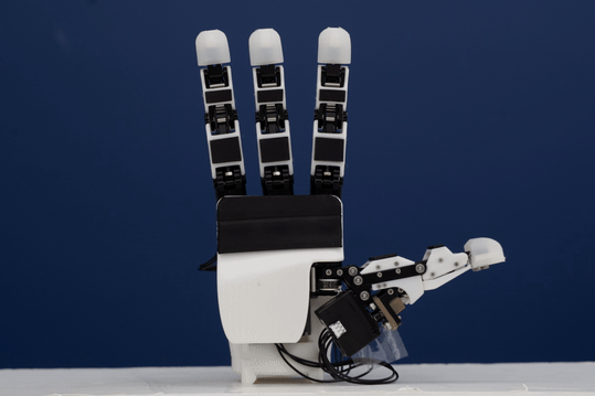 Blue Robin | Future Robotics for better life