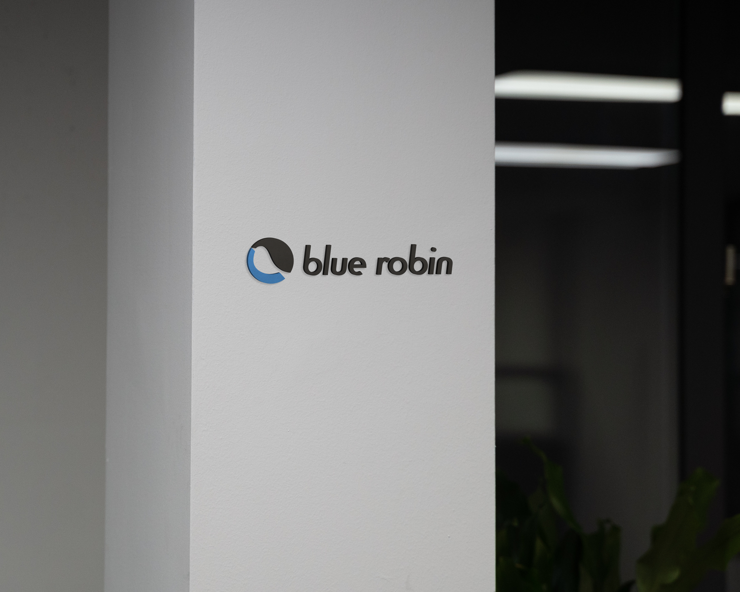 Blue Robin | Future Robotics for better life