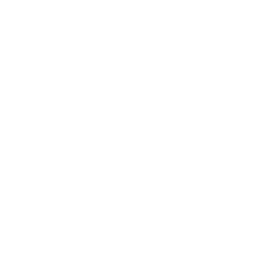 LEGACY HOOPS FOUNDATION