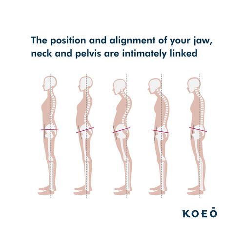 Jaw Pain Demystified: Tracing the Origins from Your Upper Cervical ...