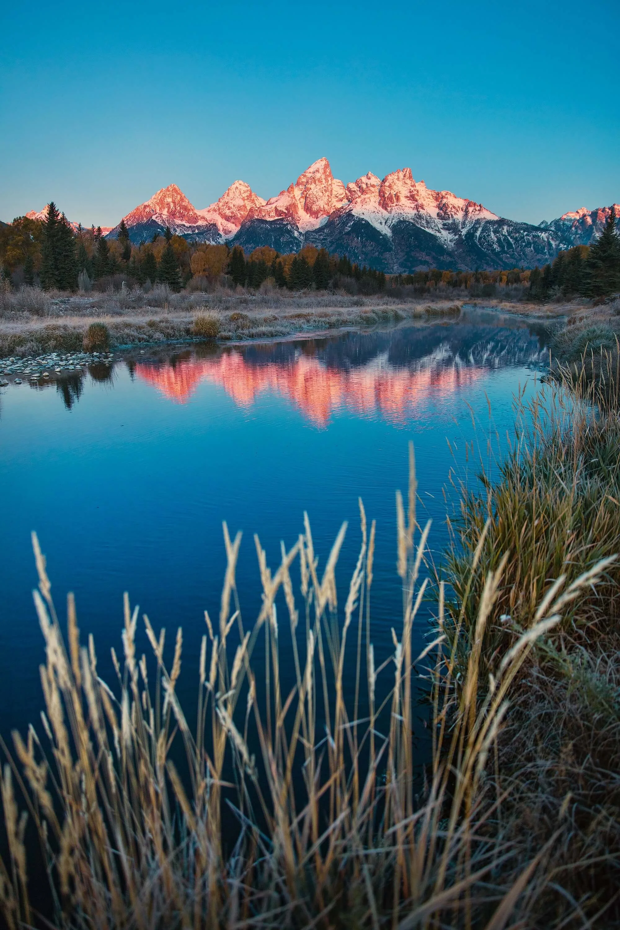 Joshua Earle Photography