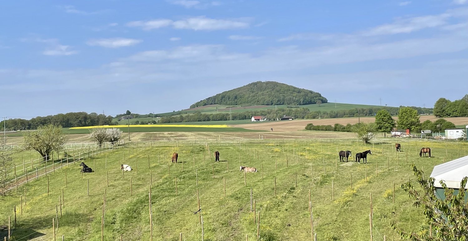 Reitstall Erb in Petersberg-Almendorf