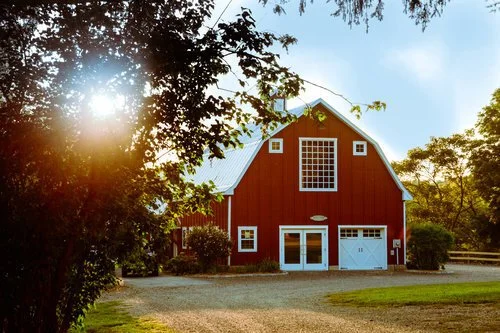 Gallery — Ryan Family Farm