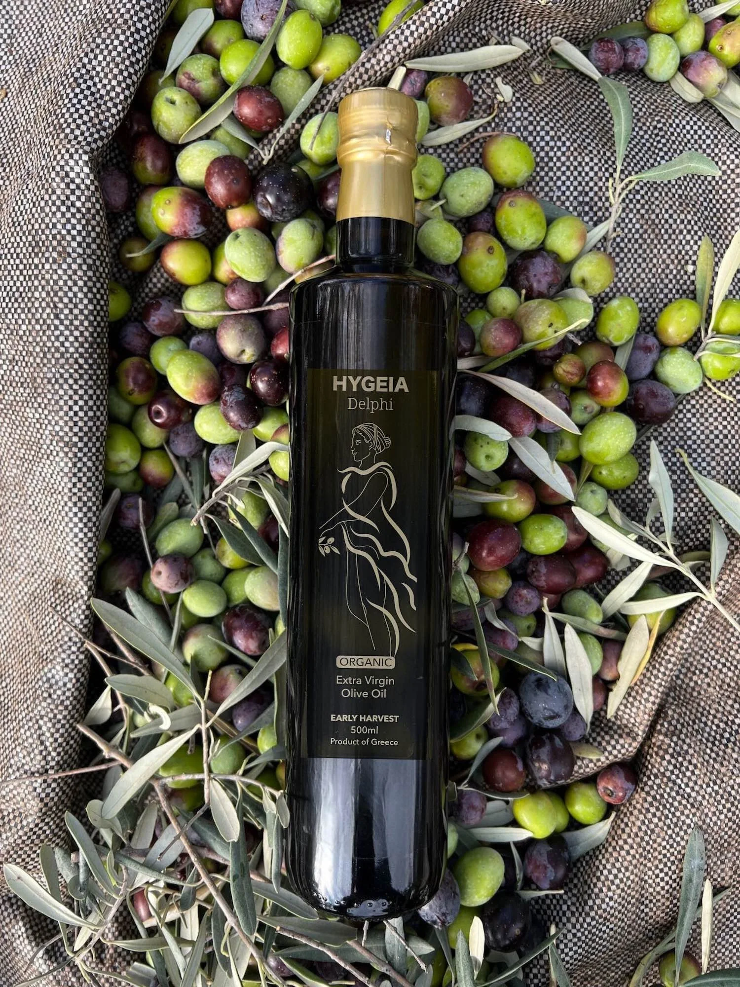 Hygeia Delphi - Premium Olive Oil