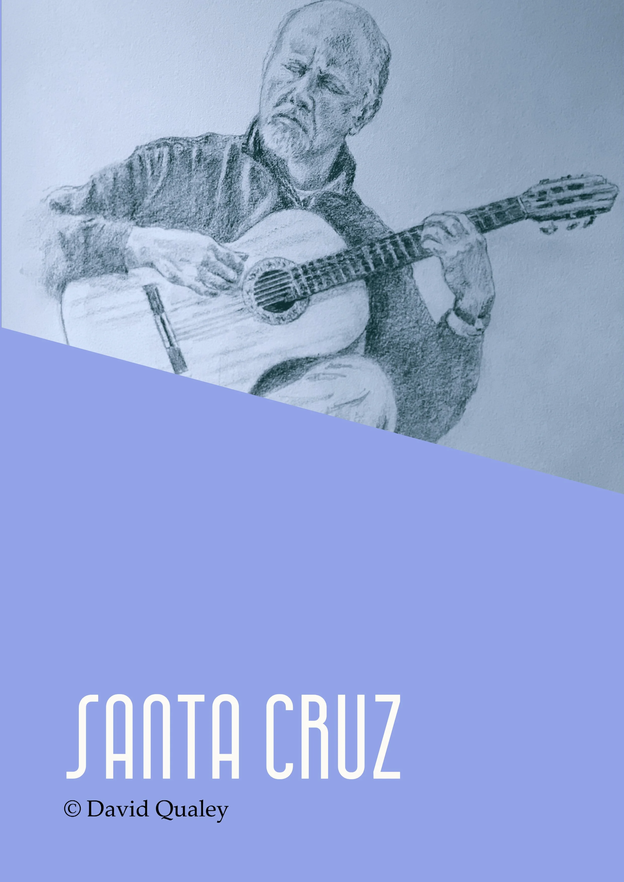 David Qualey - Guitarist & Composer