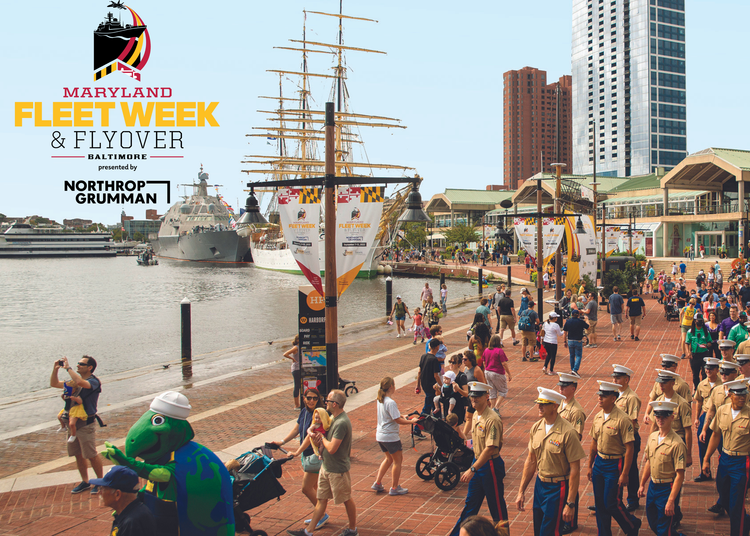 Everything You Need to Know About Fleet Week 2024 | Flyovers, Festivals ...