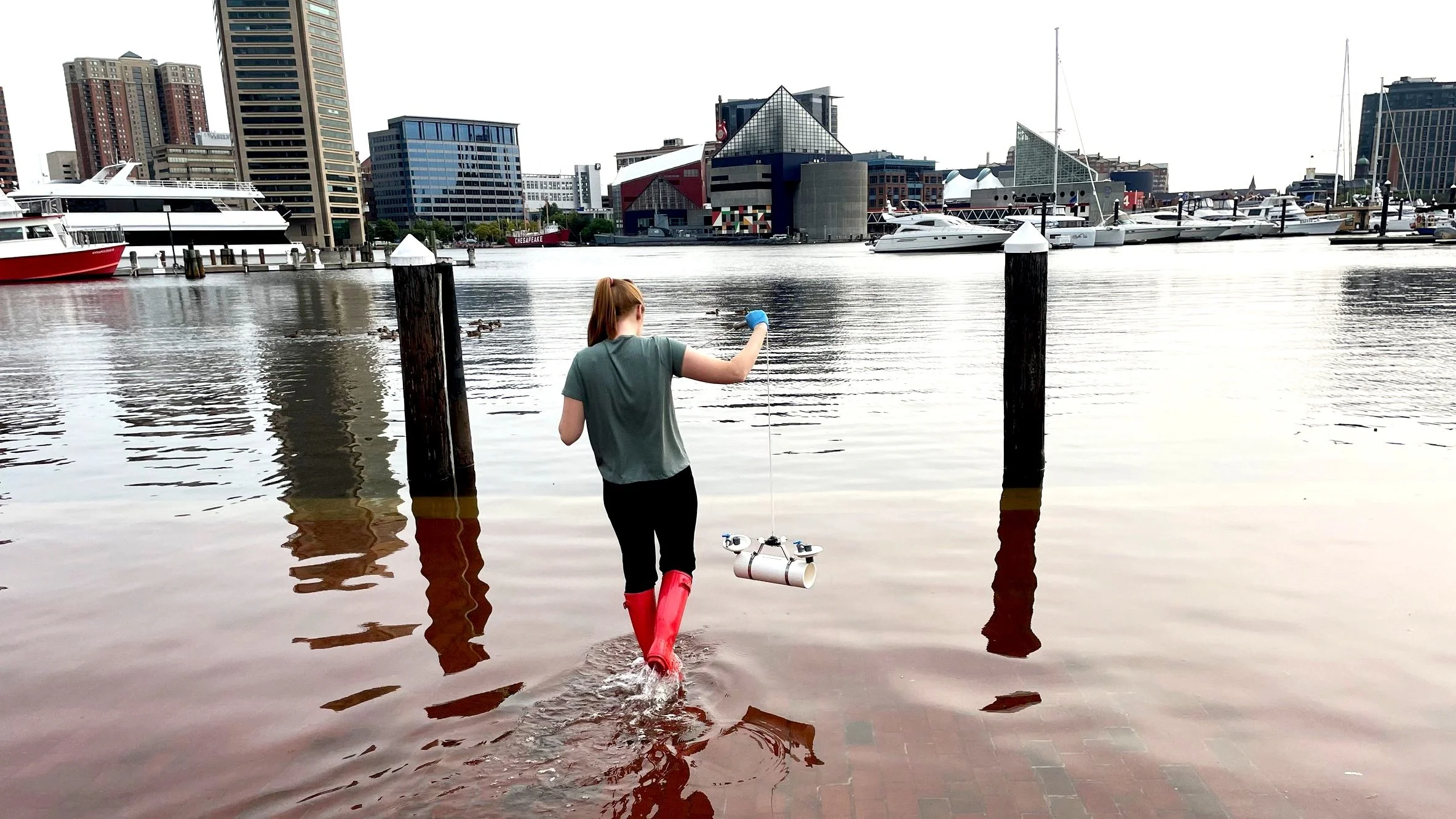 How Do We Monitor Water In The Baltimore Harbor? — Waterfront ...