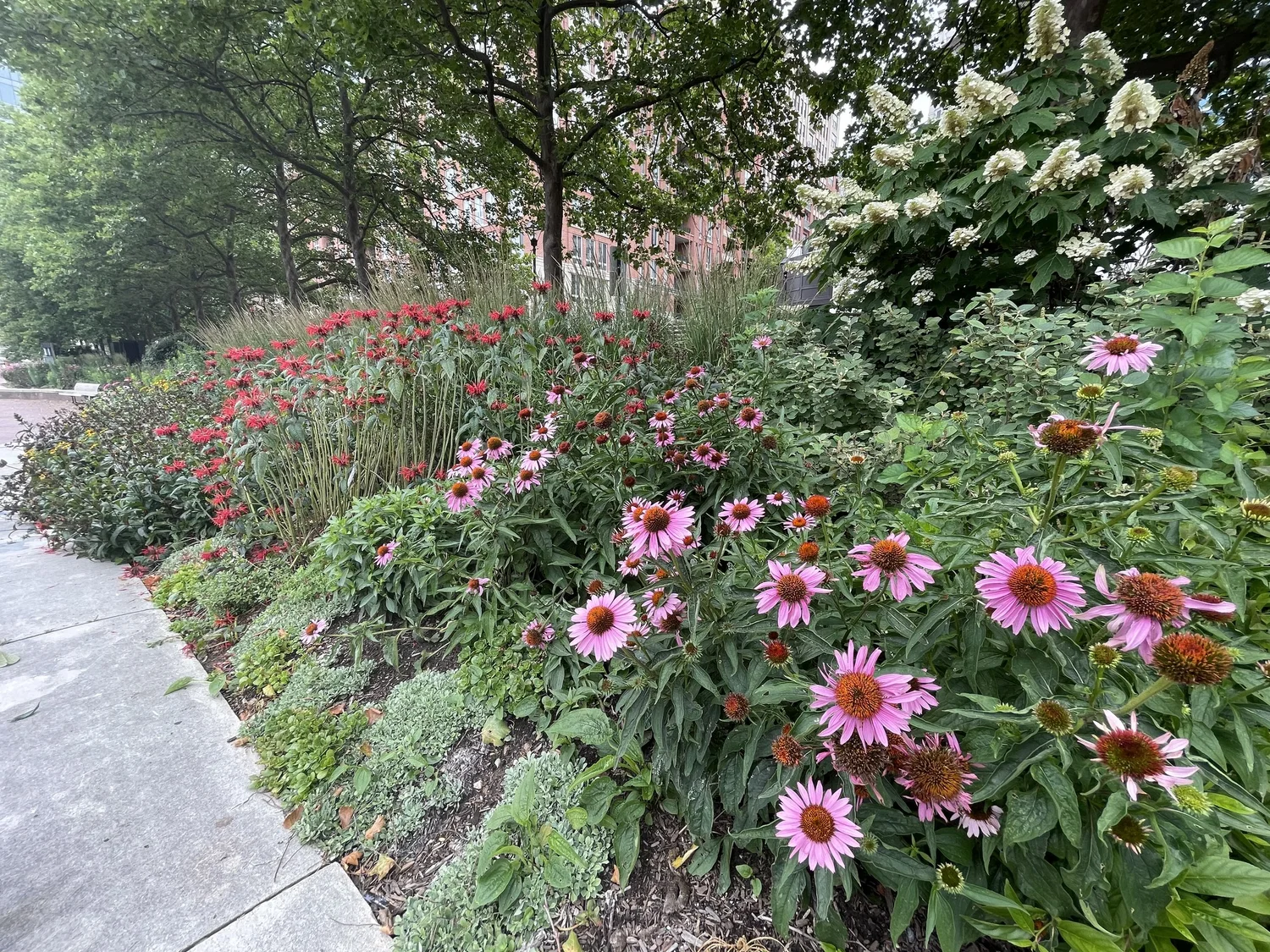Harbor Habitats — Waterfront Partnership of Baltimore