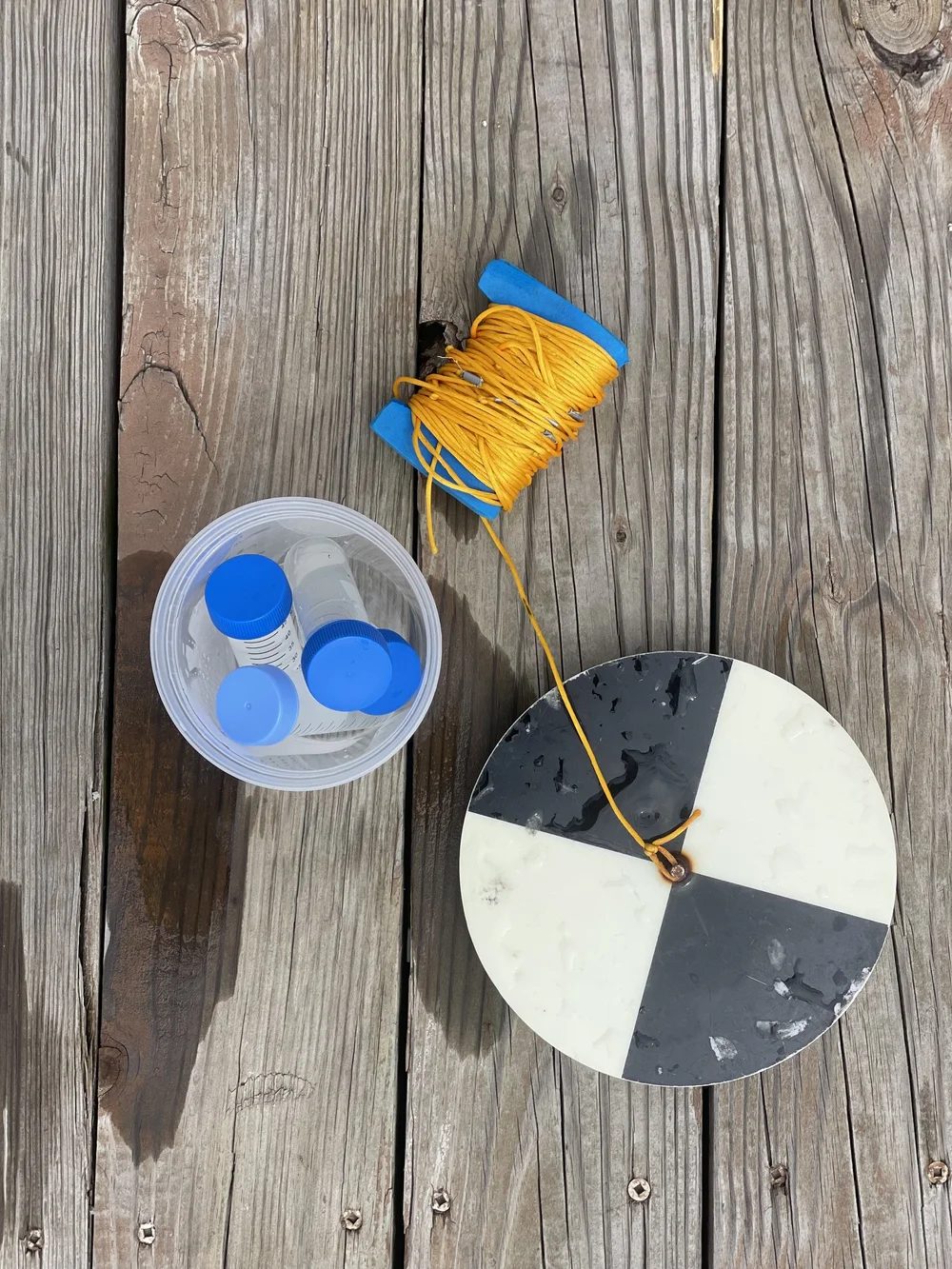 Water Quality Monitoring | Baltimore Harbor — Waterfront Partnership of ...