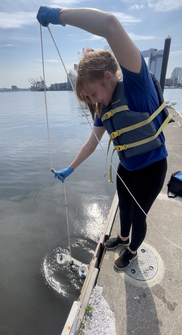 Water Quality Monitoring | Baltimore Harbor — Waterfront Partnership of ...