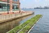 Harbor Habitats — Waterfront Partnership of Baltimore
