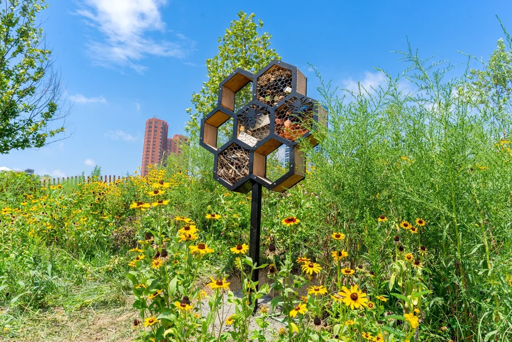 Harbor Habitats — Waterfront Partnership of Baltimore