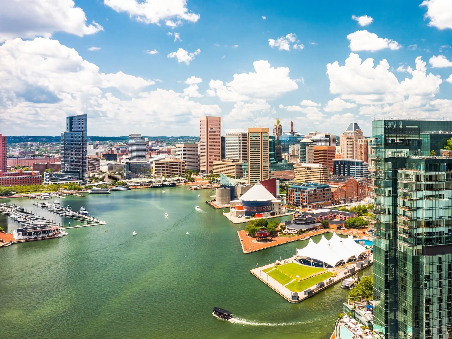 Mission & History — Waterfront Partnership of Baltimore