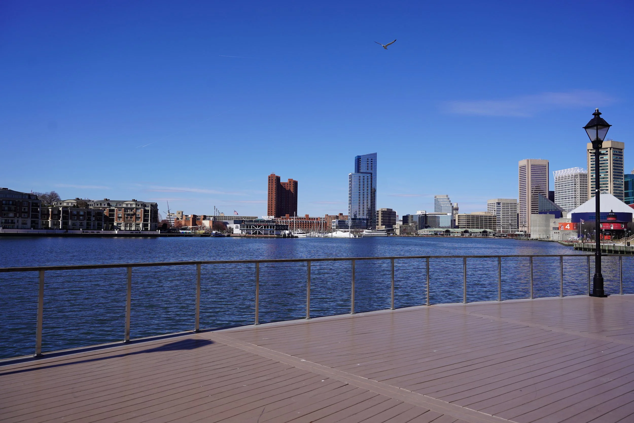 Top 5 Photo Opportunities in Harbor East — Waterfront Partnership of ...