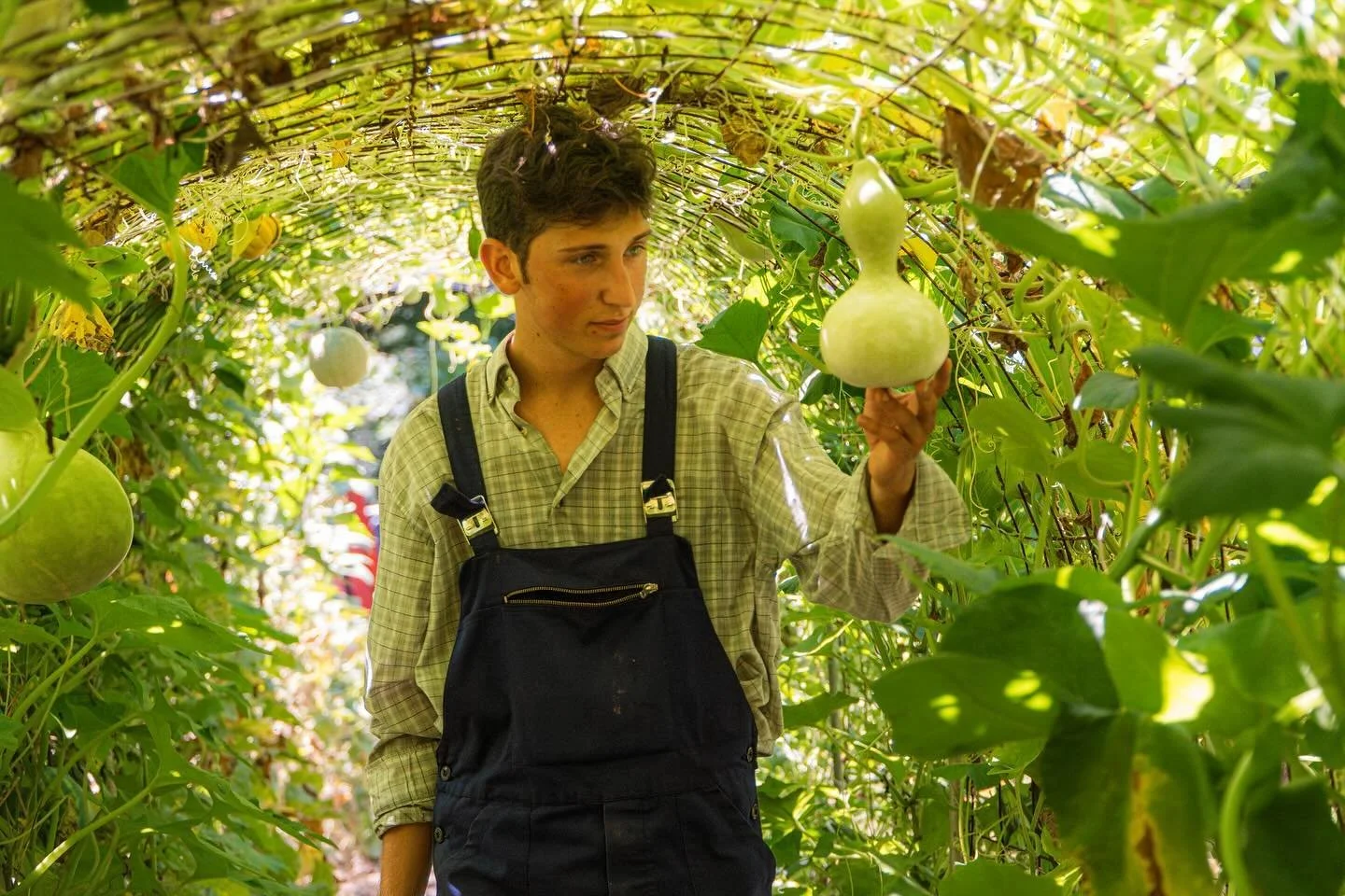 Edgewood Community Farm