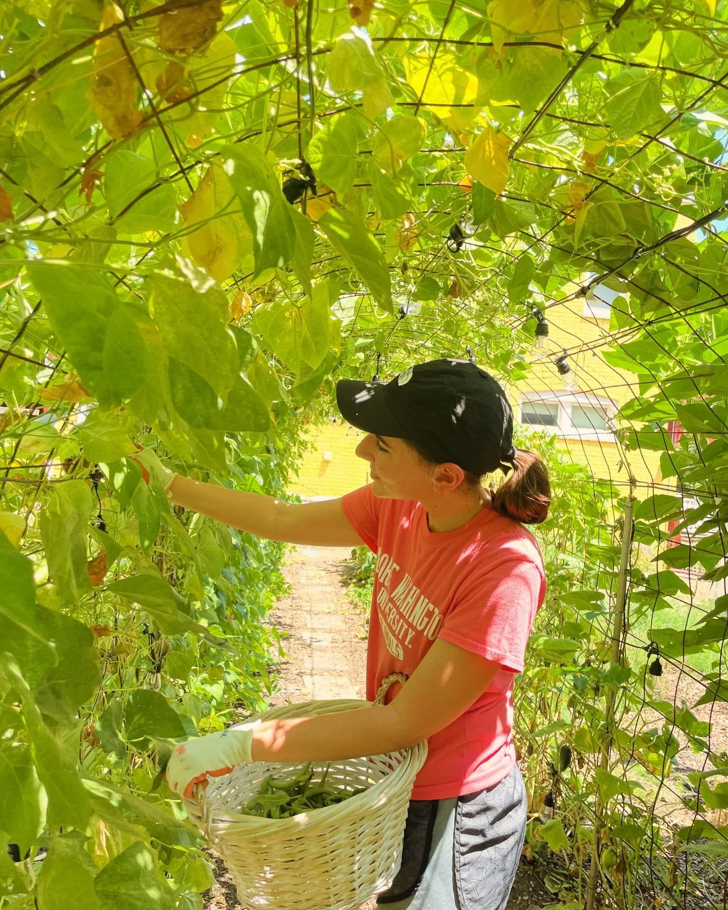 Edgewood Community Farm
