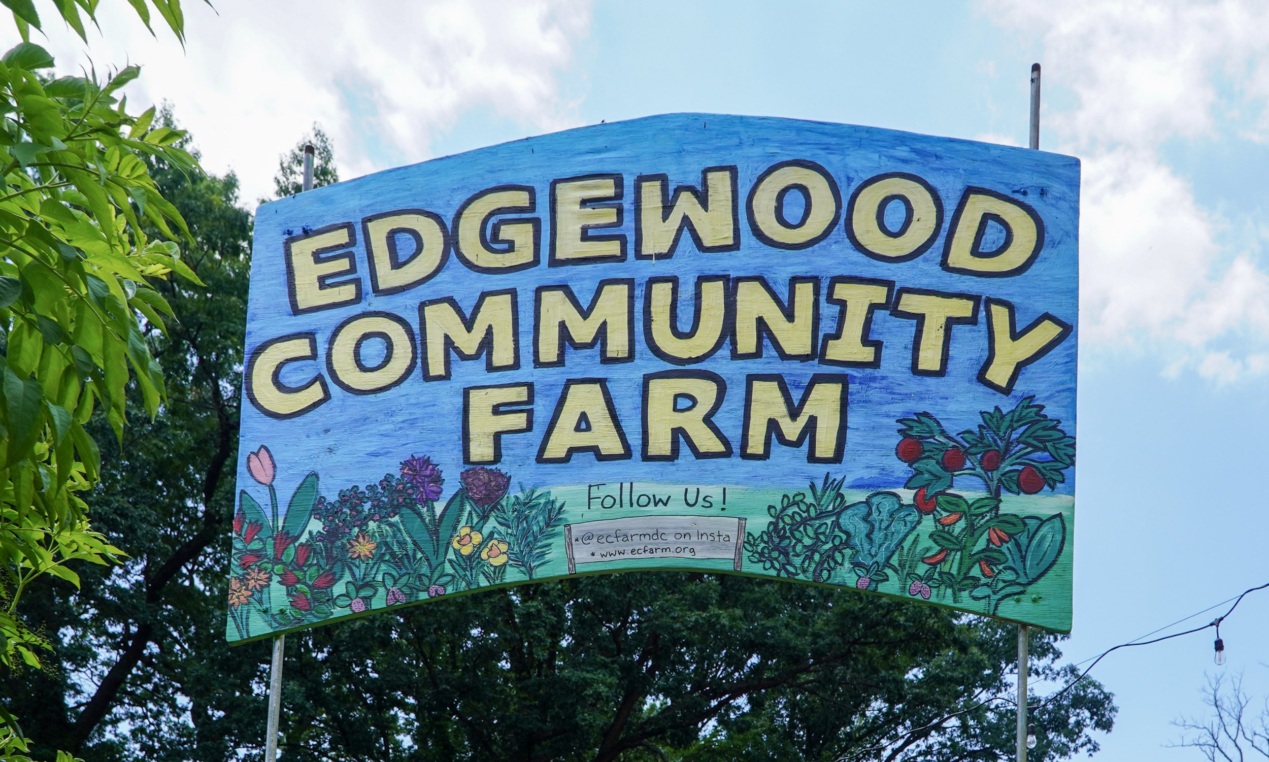 Edgewood Community Farm