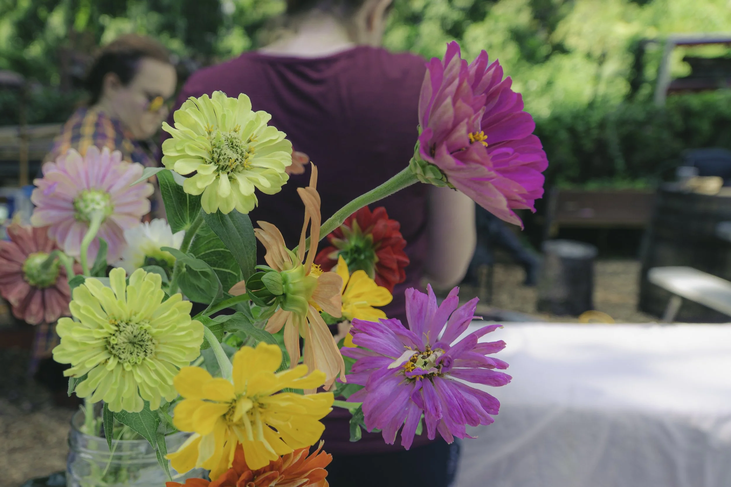 Events — Edgewood Community Farm