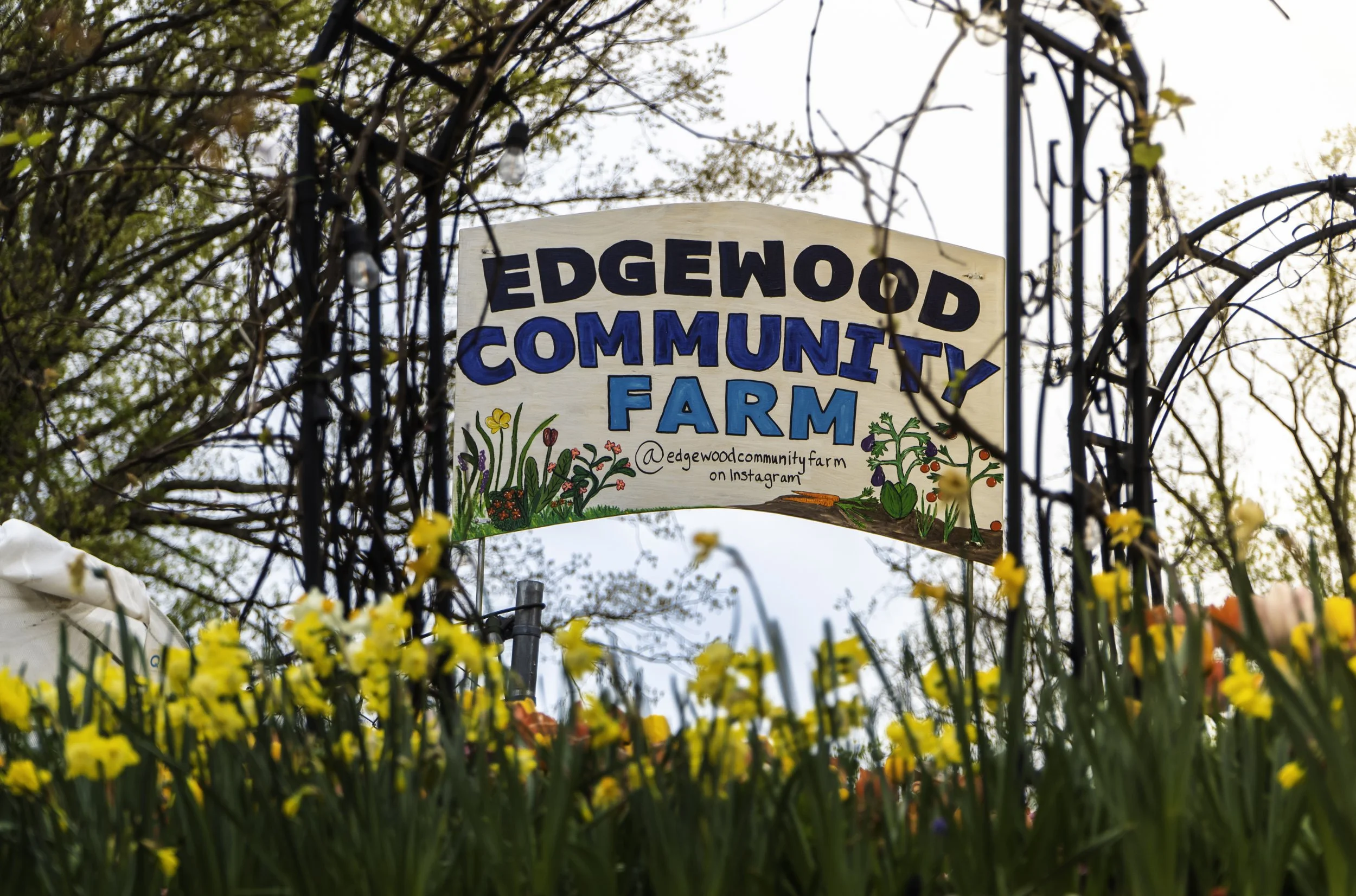 Edgewood Community Farm
