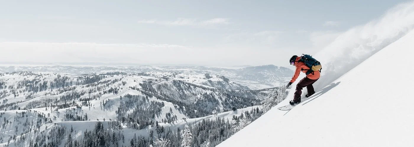 Backcountry — SIDFACTOR