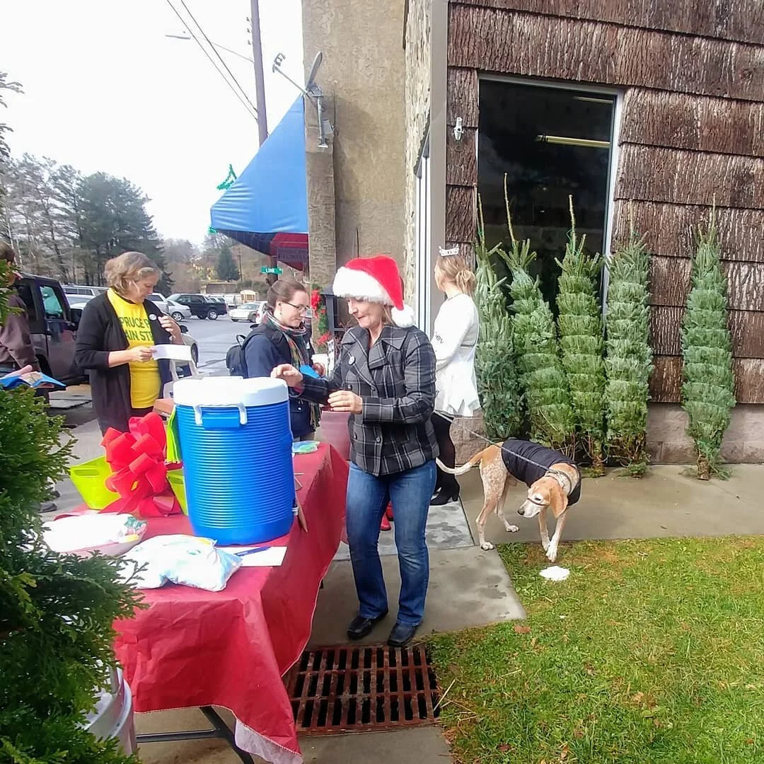 Festivals & Events — Discover Spruce Pine NC (Copy)